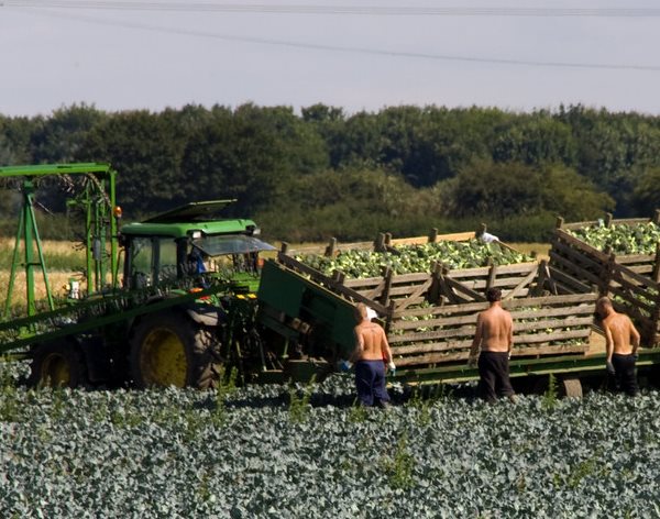 New immigration rules 'run the risk of labour exploitation'