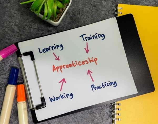 BLOG: A step by step guide to setting up apprenticeships