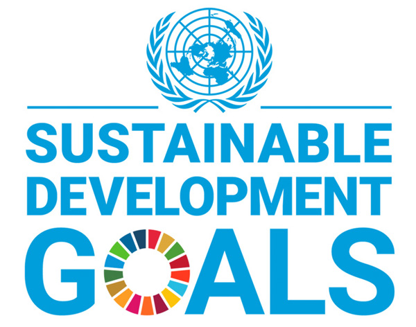 DMU picked for second term as United Nations global hub