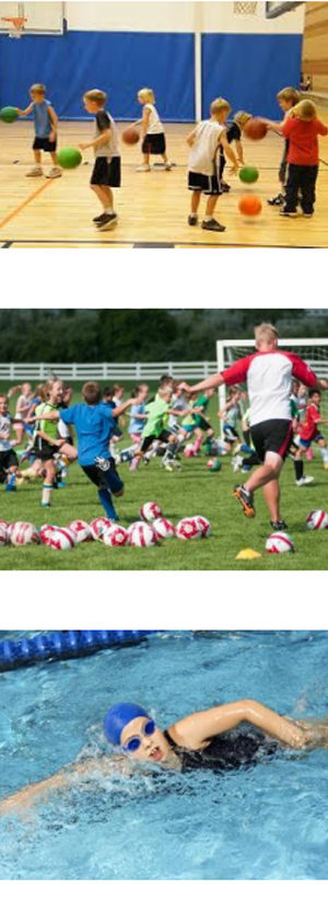 The Active Sports School