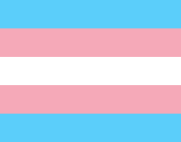 International Transgender Day of Visibility