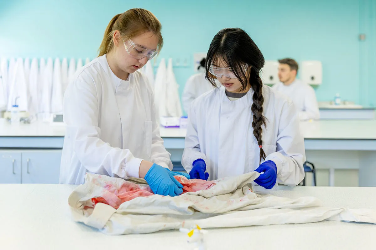 Forensic Science BSc (Hons)/MSci- with optional placement year