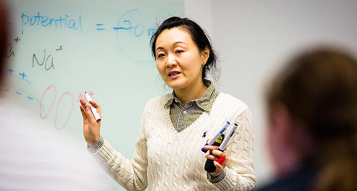 Education Studies with Psychology BA (Hons)