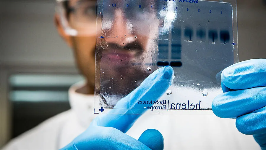 Biomedical Science BSc (Hons)